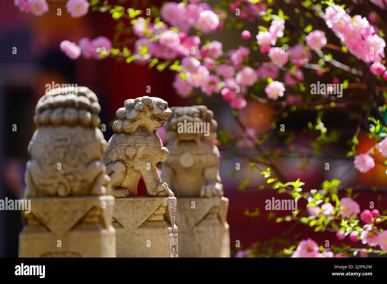 Beijing, Beijing, China. 8th Apr, 2022. On April 7, 2022, in Beijing ...