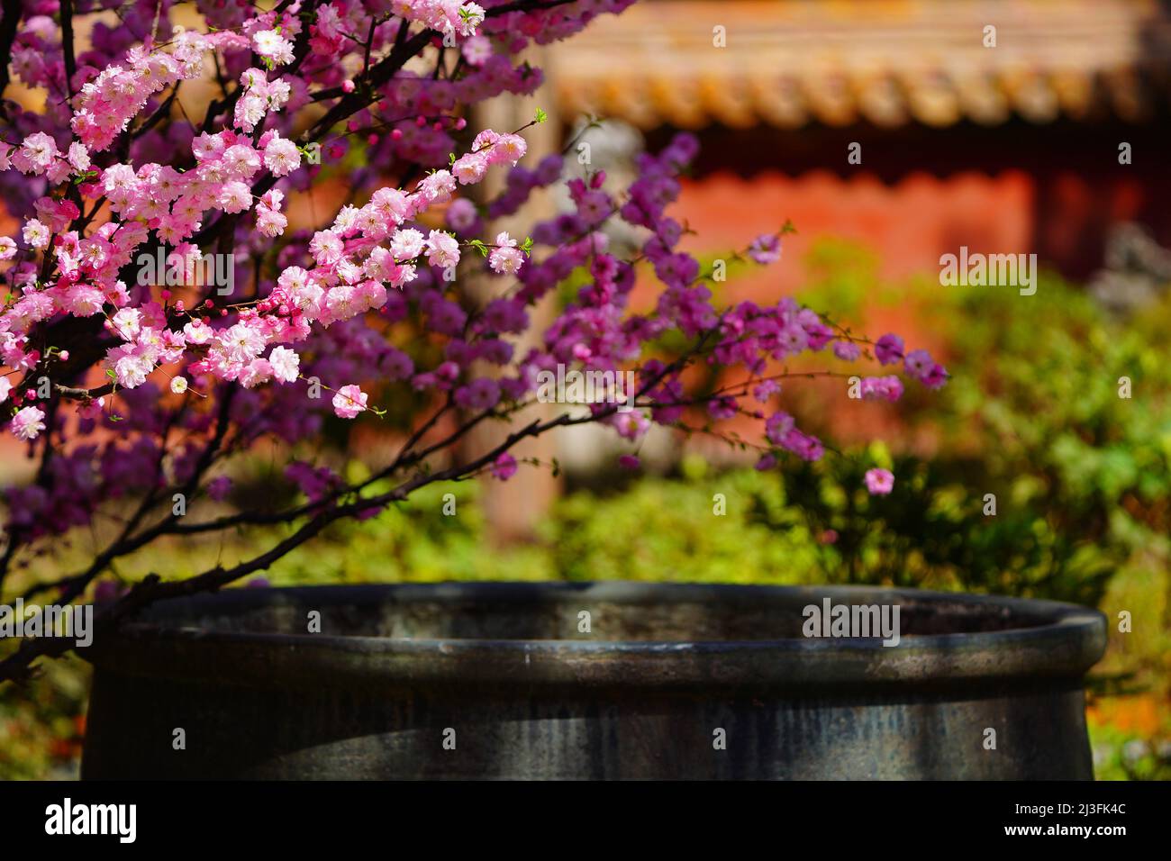 Beijing, Beijing, China. 8th Apr, 2022. On April 7, 2022, in Beijing ...