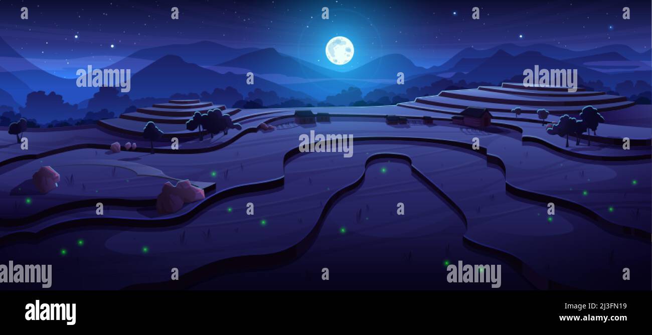 Night rice field terraces at asian mountains landscape with paddy ...