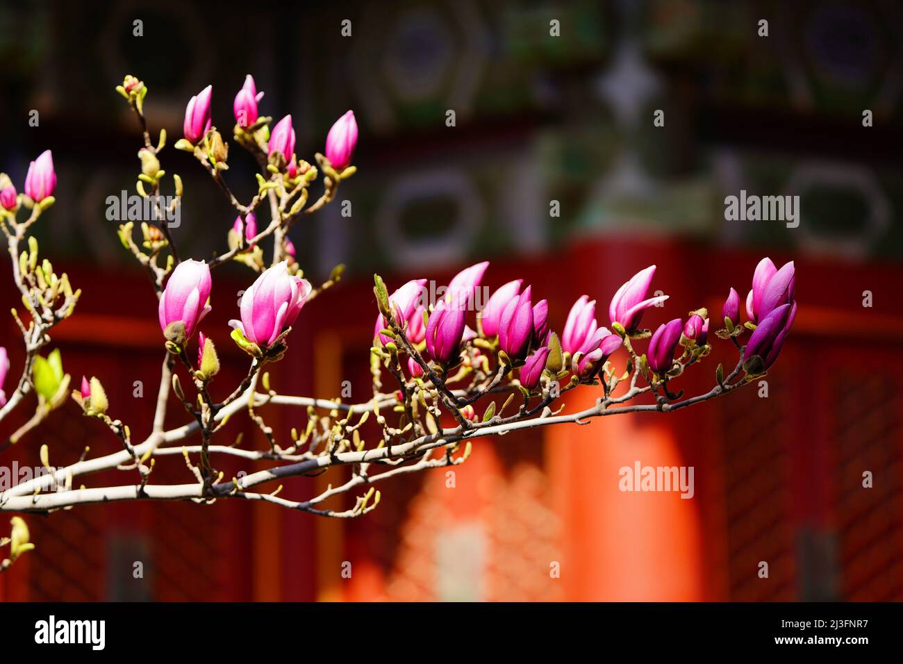 Beijing, Beijing, China. 8th Apr, 2022. On April 7, 2022, in Beijing ...