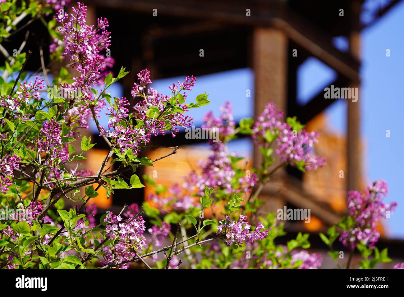 Beijing, Beijing, China. 8th Apr, 2022. On April 7, 2022, in Beijing ...