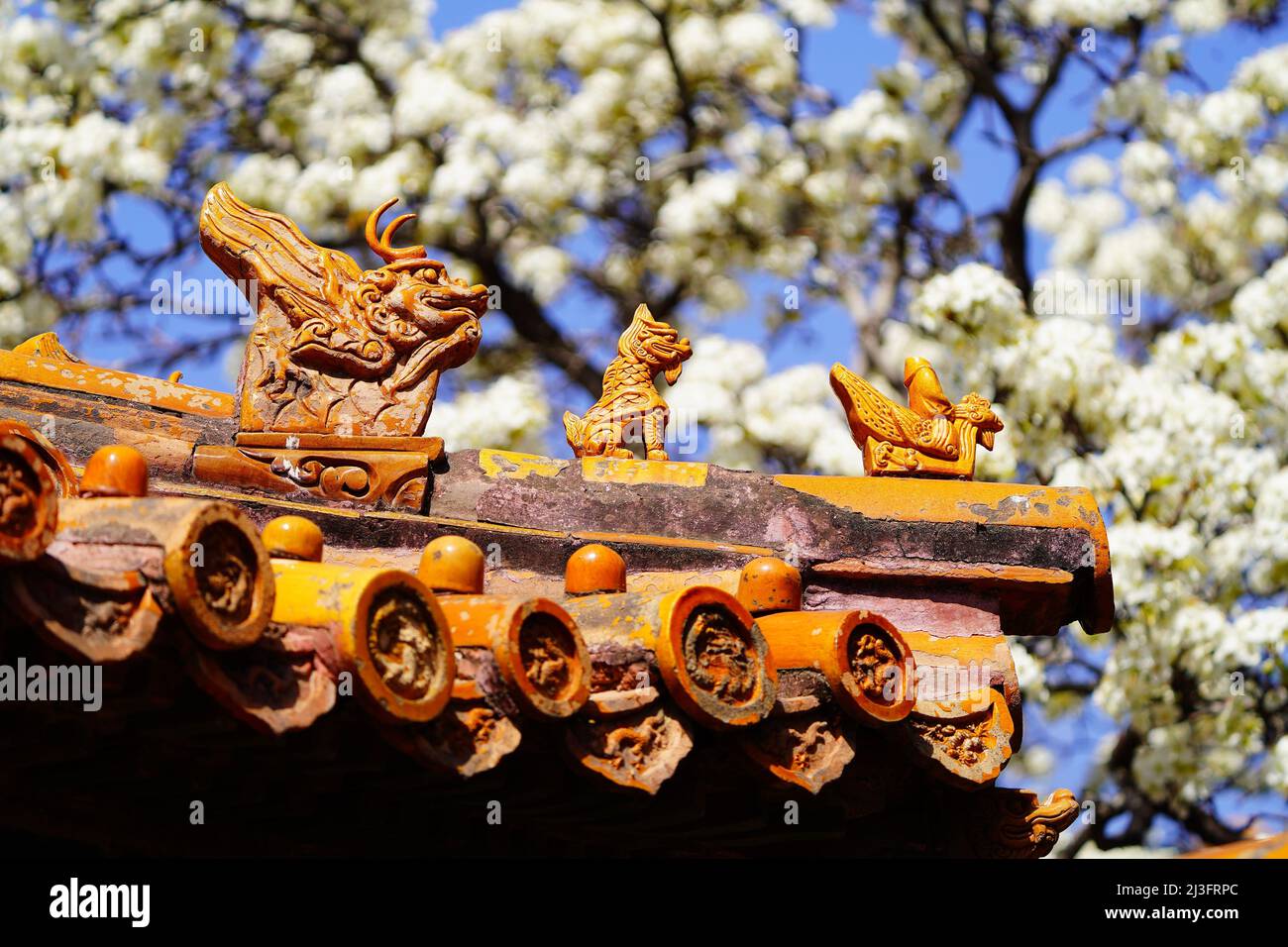 Beijing, Beijing, China. 8th Apr, 2022. On April 7, 2022, in Beijing ...