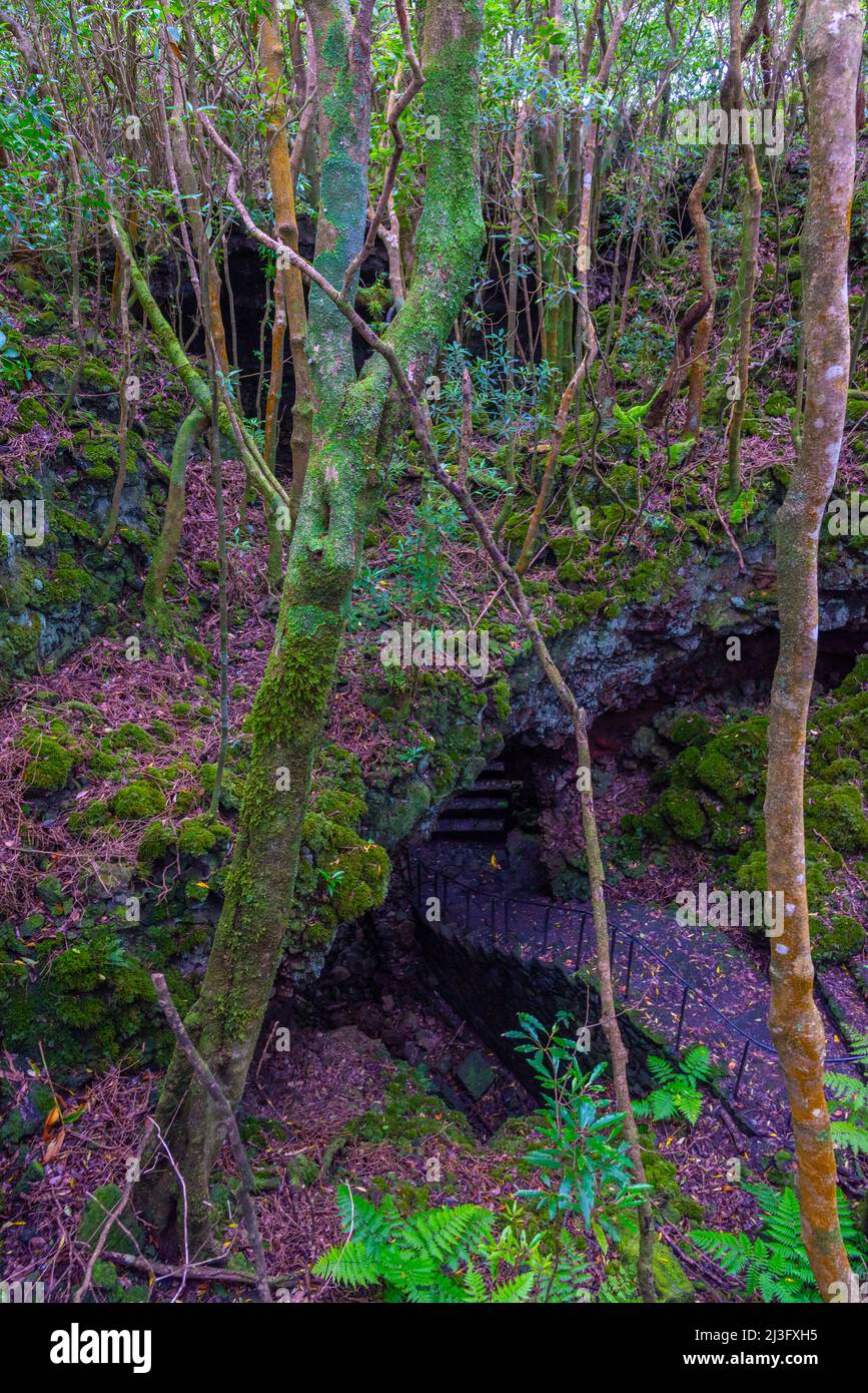 Steep staircase leading to gruta das torres cave at Pico island, Azores ...