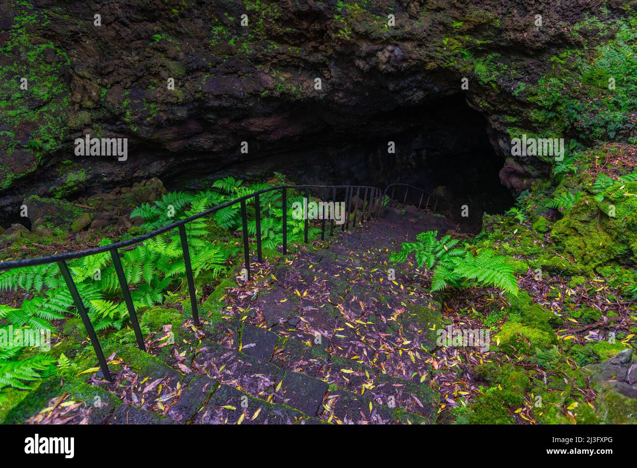 Steep staircase leading to gruta das torres cave at Pico island, Azores ...