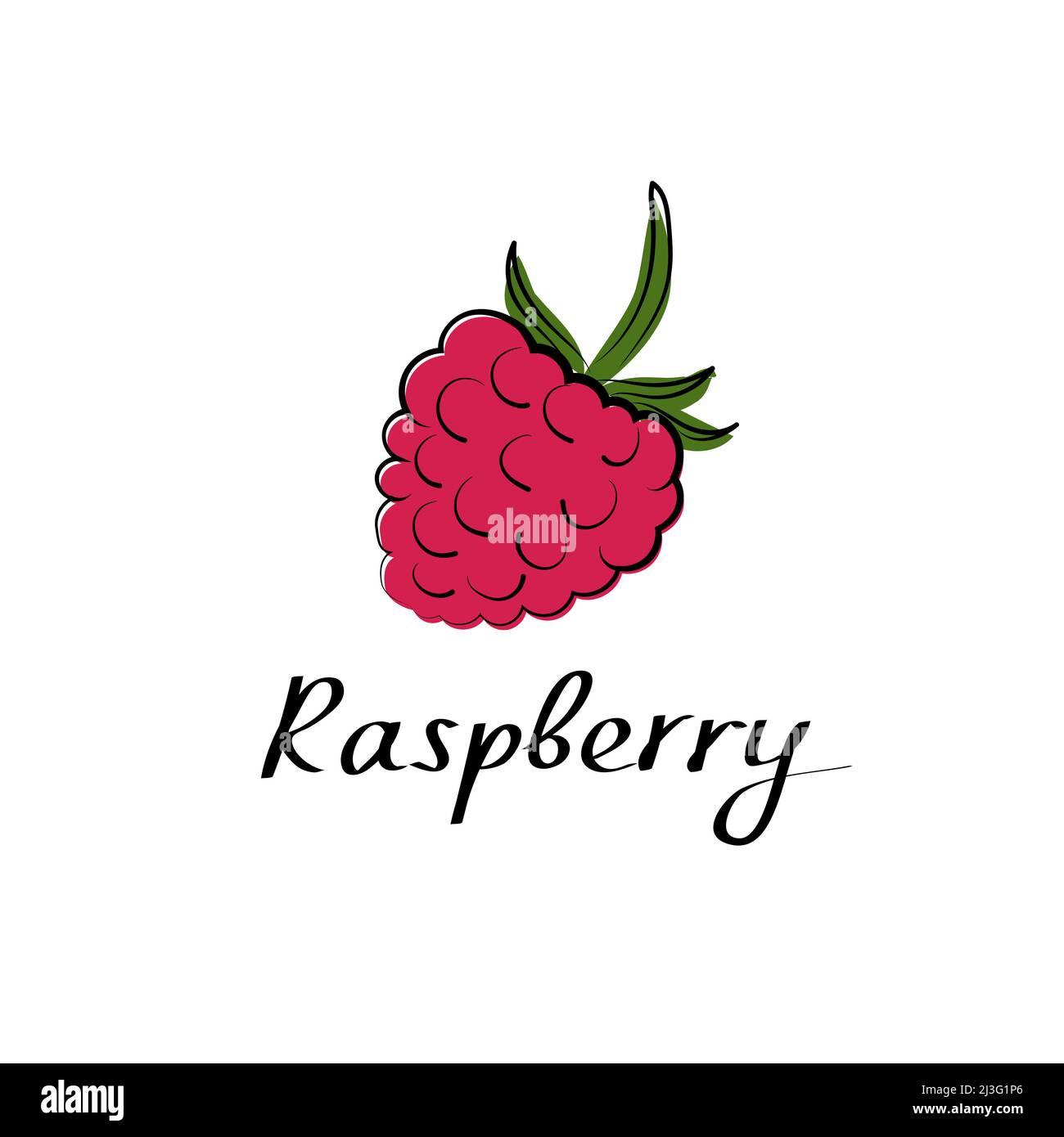 Raspberry hand drawn sketch illustration on white background. Vector ...