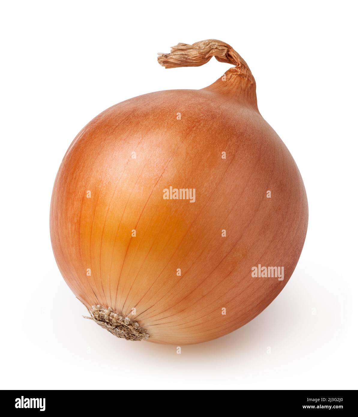 Brown Onions