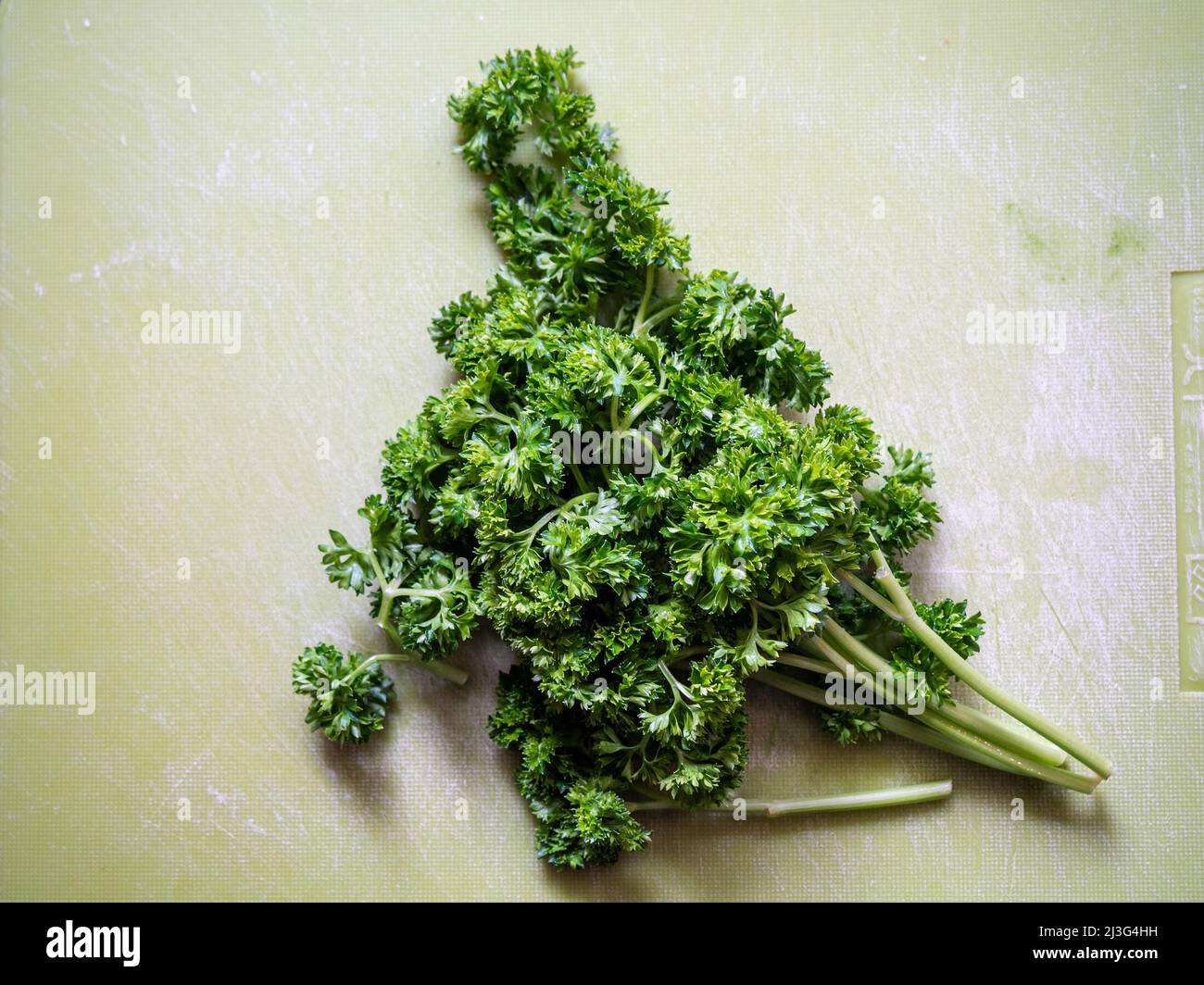 Fresh green curled parsley on a chopping board Stock Photo - Alamy