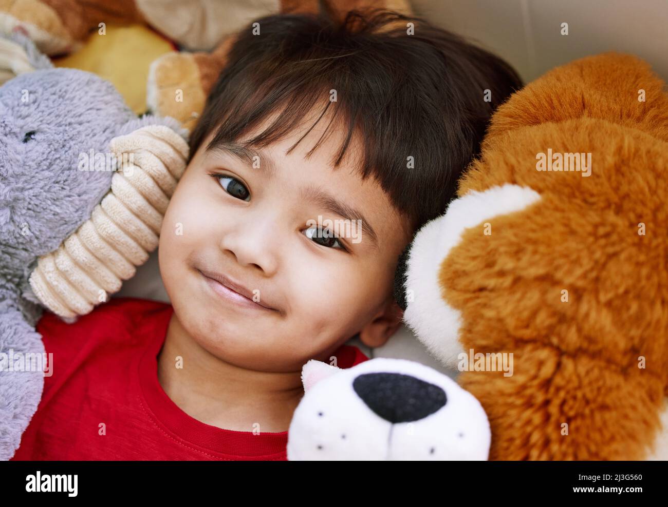 I always nap with all my teddies. Portrait of an adorable little boy ...