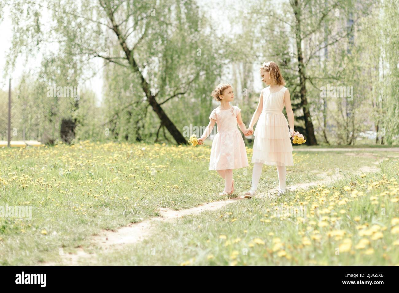 two little sisters walking along a path through a meadow Stock Photo ...