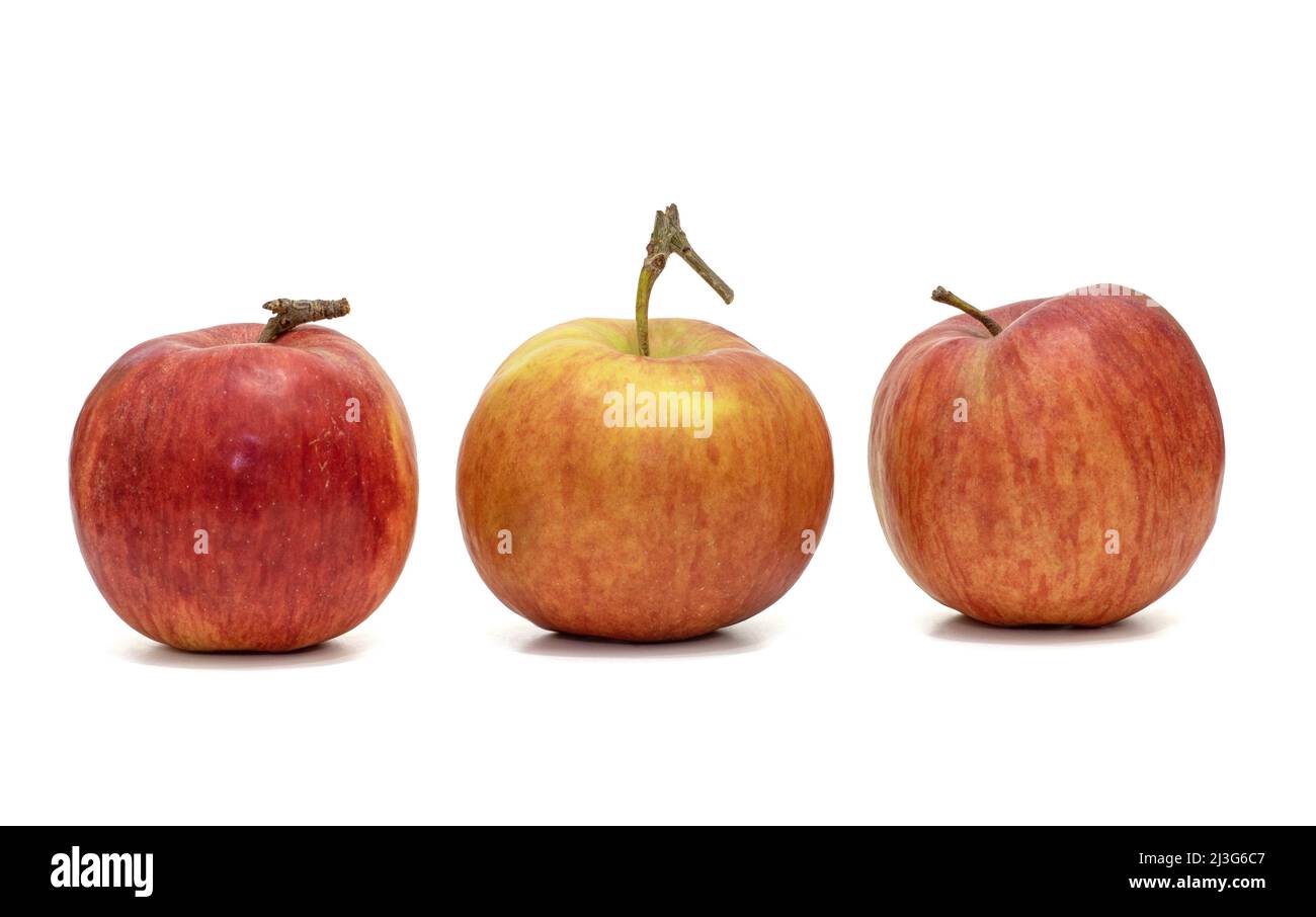 Image of three fruits ripe red-yellow delicious apples Stock Photo - Alamy