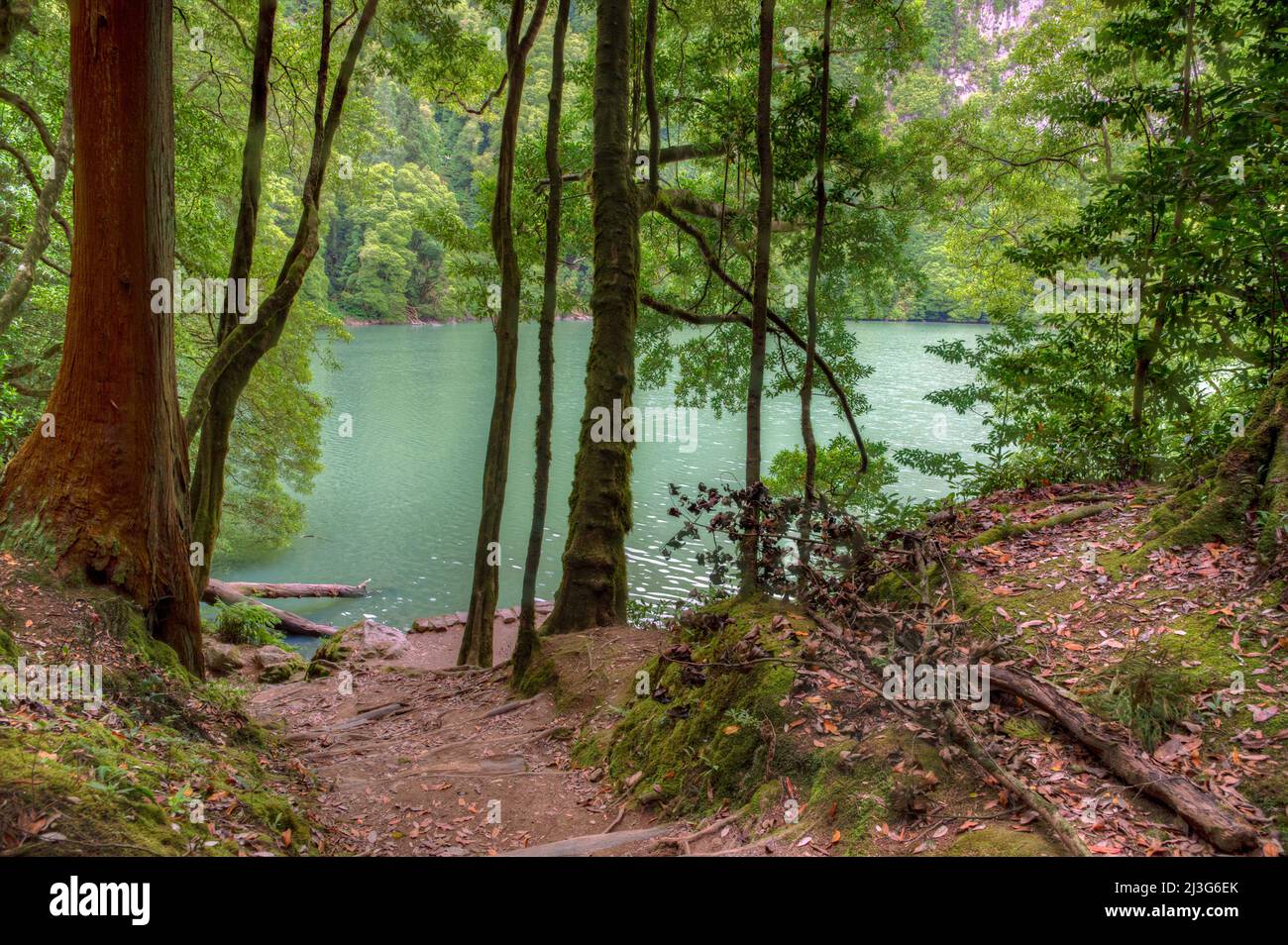 Lagoa do Congro lake at Sao Miguel island, Azores, Portugal Stock Photo ...