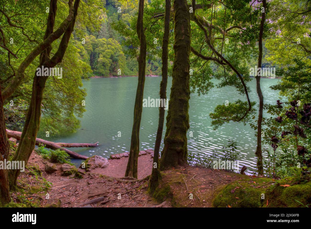 Lagoa do Congro lake at Sao Miguel island, Azores, Portugal Stock Photo ...