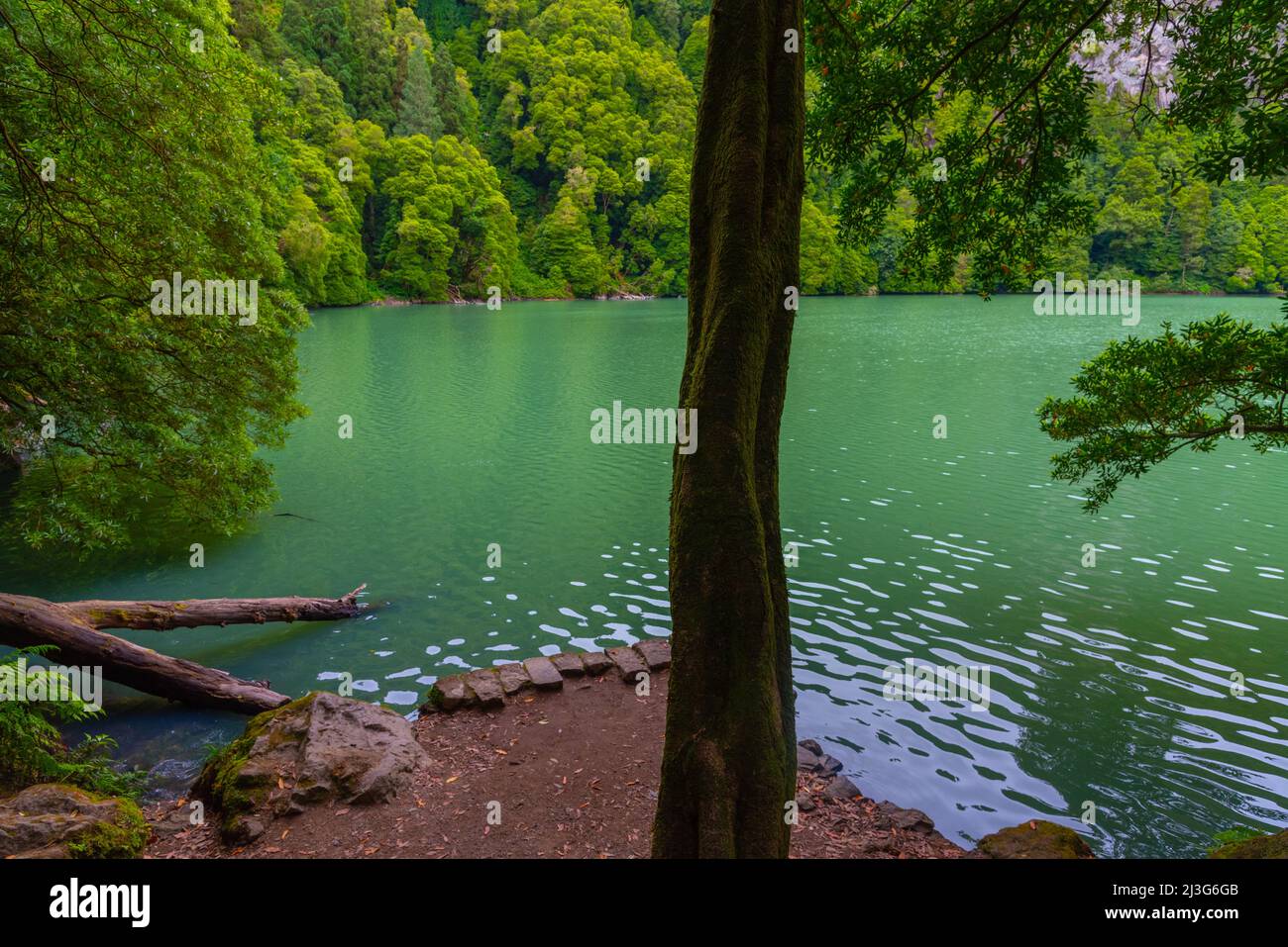 Congro lagoon hi-res stock photography and images - Alamy