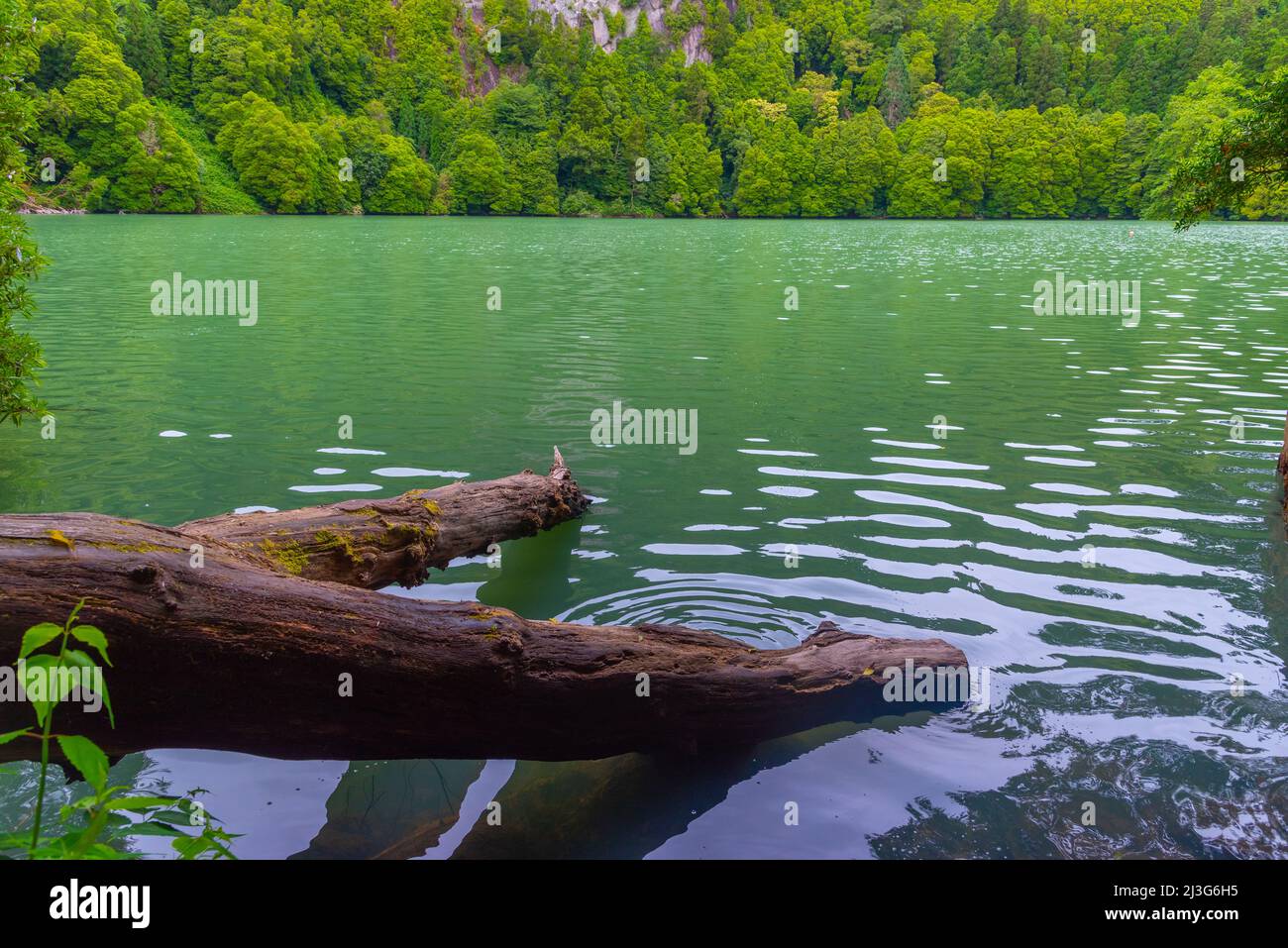 Lagoa do Congro lake at Sao Miguel island, Azores, Portugal Stock Photo ...