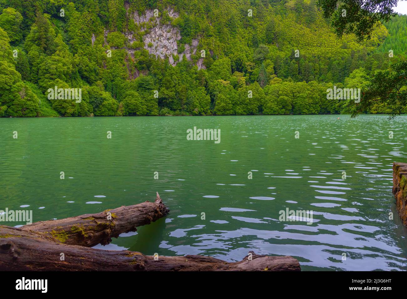 Lagoon congro hi-res stock photography and images - Alamy