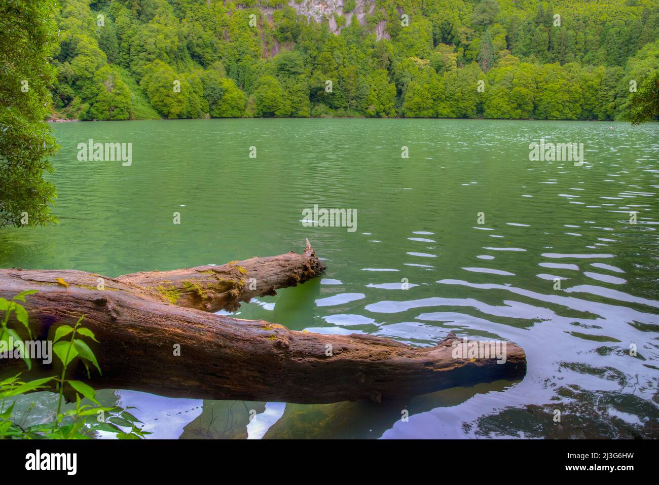 Congro lagoon hi-res stock photography and images - Alamy