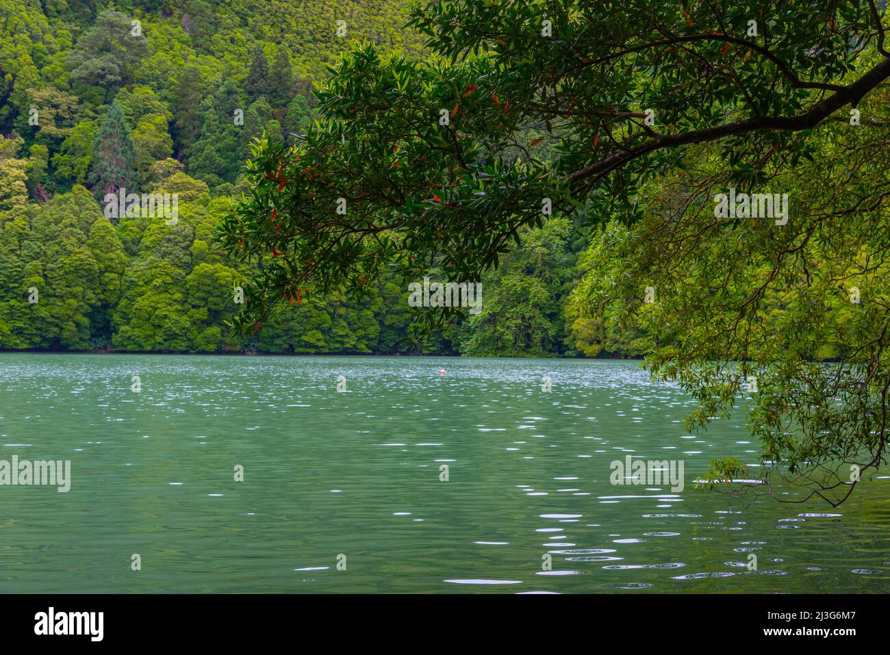 Lagoon congro hi-res stock photography and images - Alamy