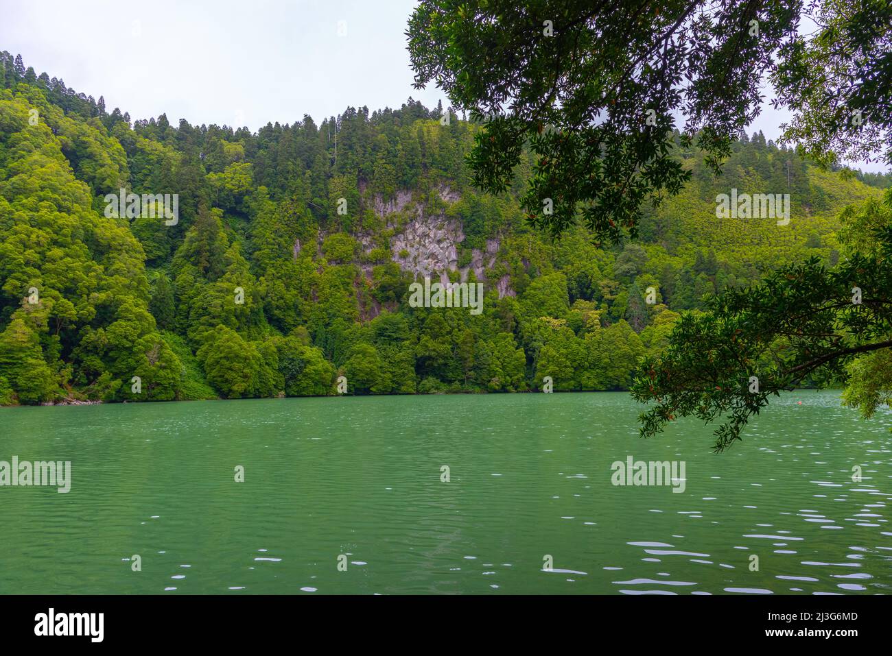 Lagoon congro hi-res stock photography and images - Alamy