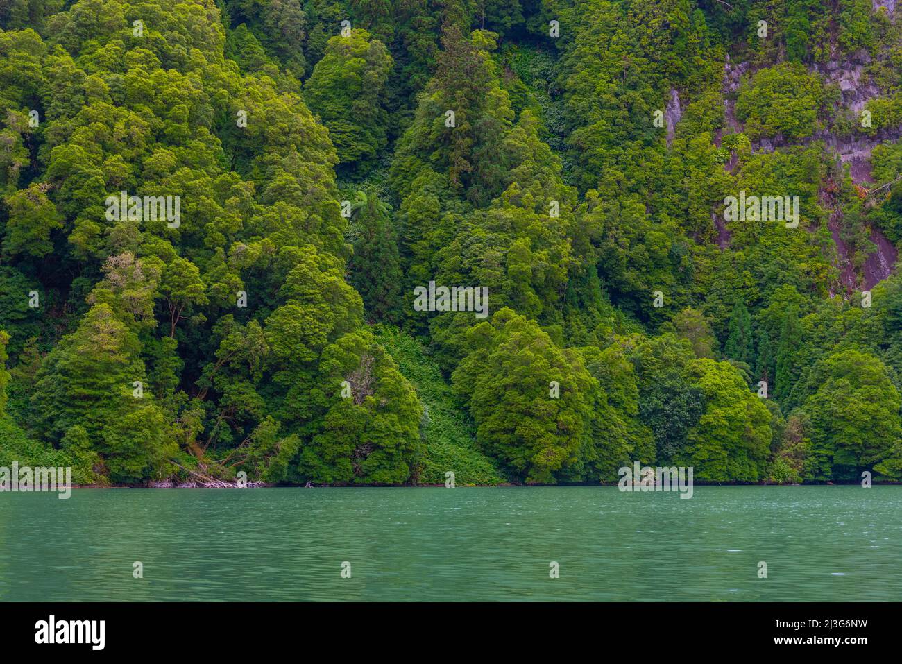 Lagoa do Congro lake at Sao Miguel island, Azores, Portugal Stock Photo ...
