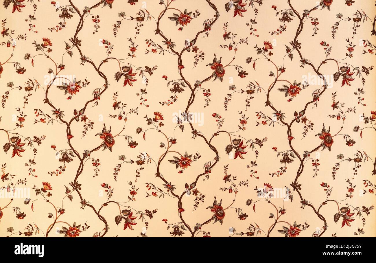 A Vintage wallpaper with branches and flowers faded and bleached by ...