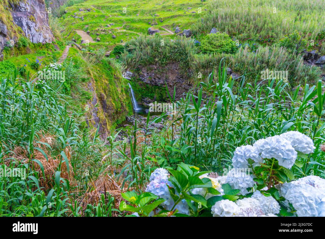 Salto azul hi-res stock photography and images - Alamy