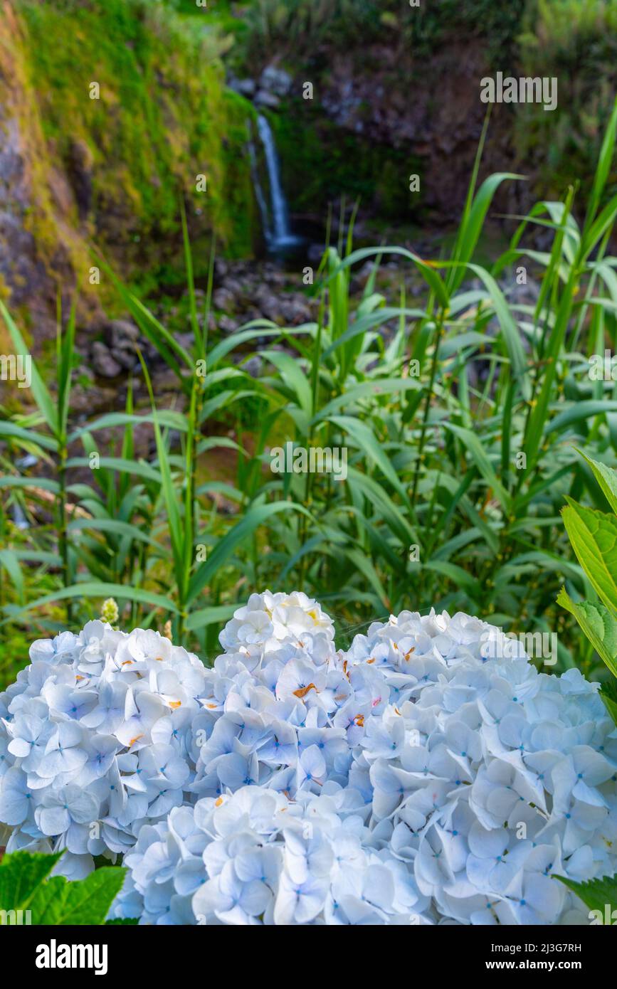 Poco azul hi-res stock photography and images - Alamy