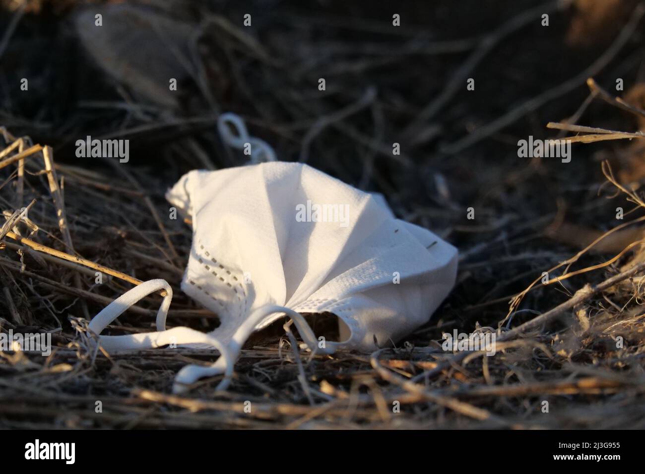 Face mask discarded in nature, a new problem or form of pollution ...