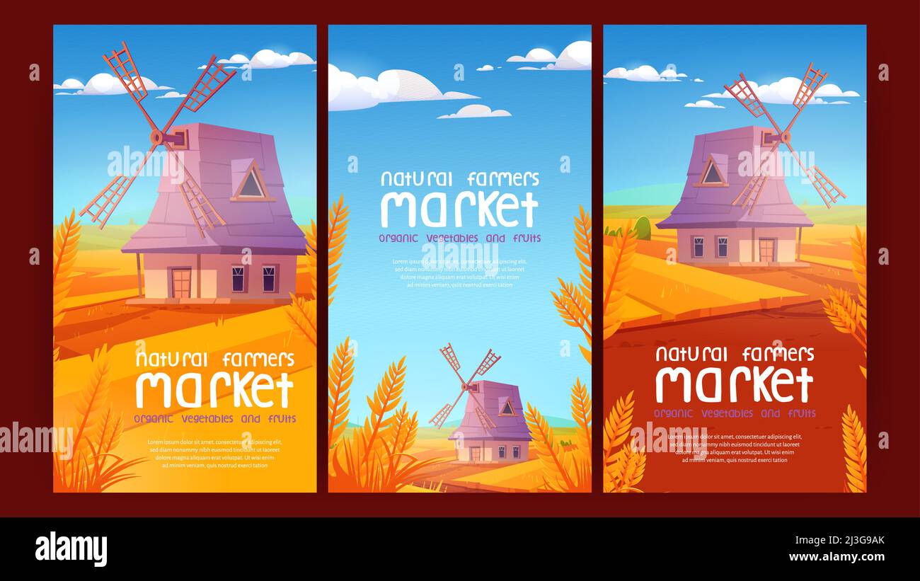 Farmers market banners with windmill on field with ripe wheat. Vector ...
