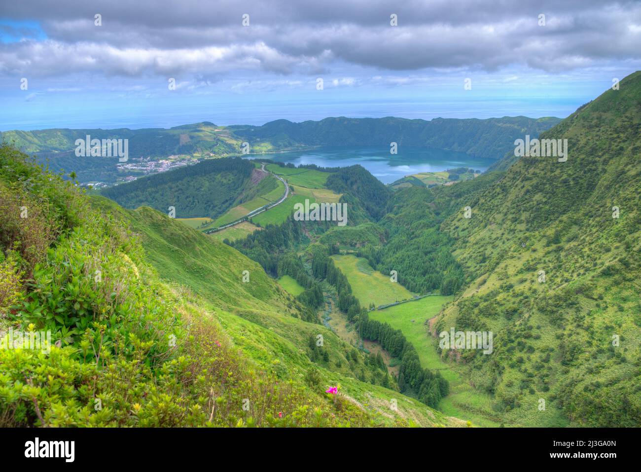 Portugal hortensia miradouro hi-res stock photography and images - Alamy