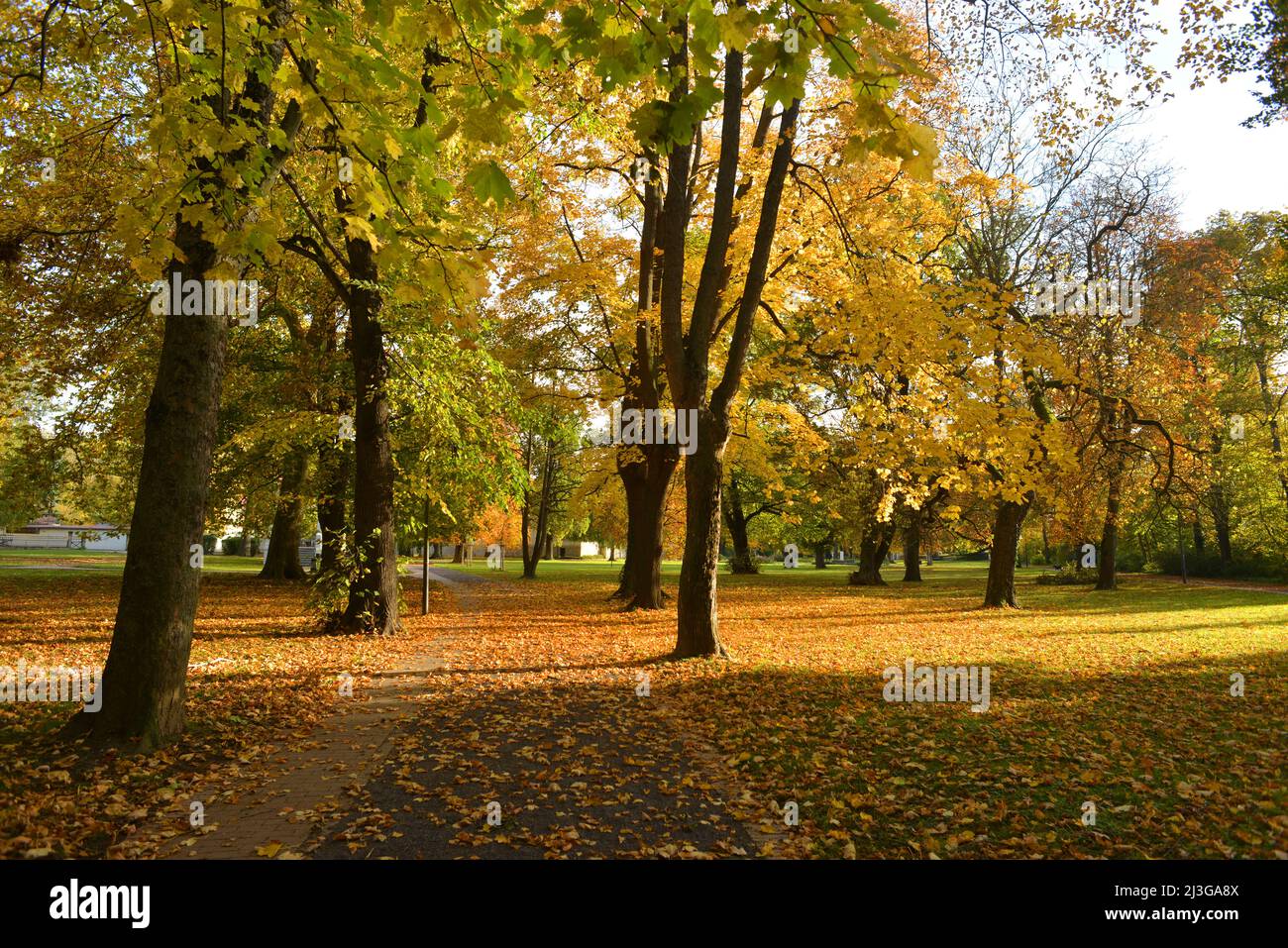 Autumn colors in a spa park in Bad Kosen, Naumburg, Germany Stock Photo ...