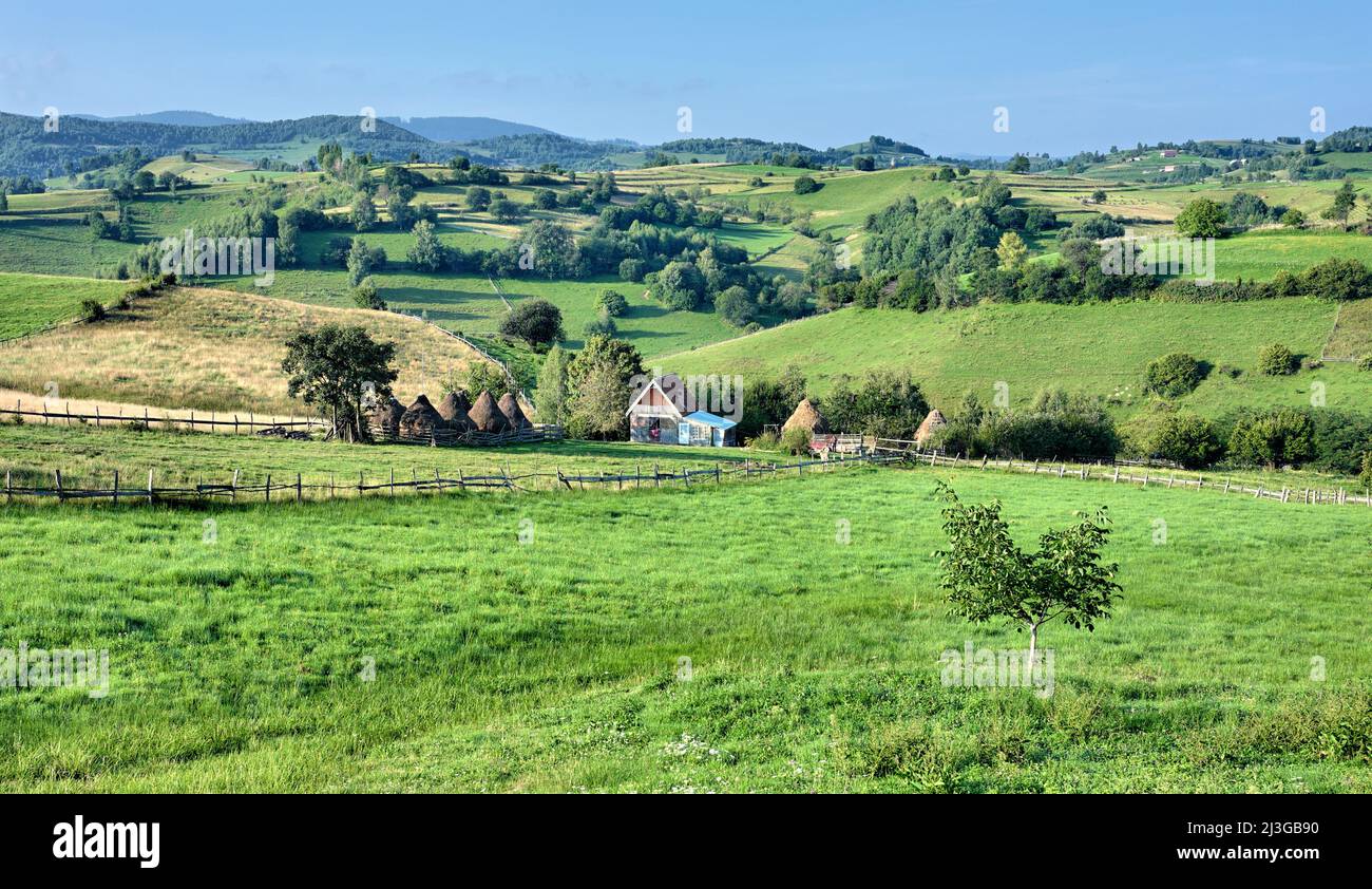typical countryside landscape of Transylvania, Romania Stock Photo - Alamy