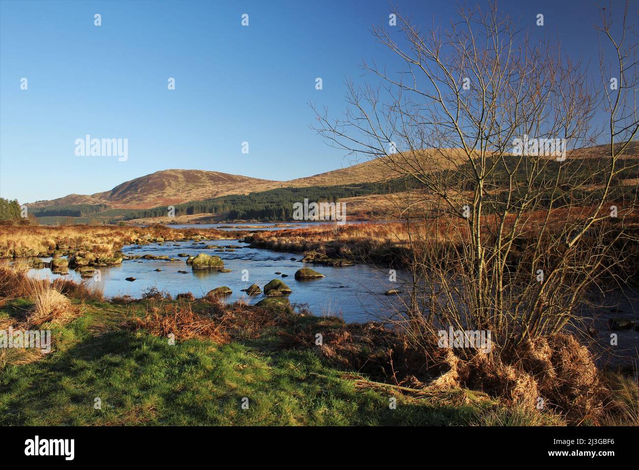 Galloway Forest Park - Scotland Stock Photo - Alamy