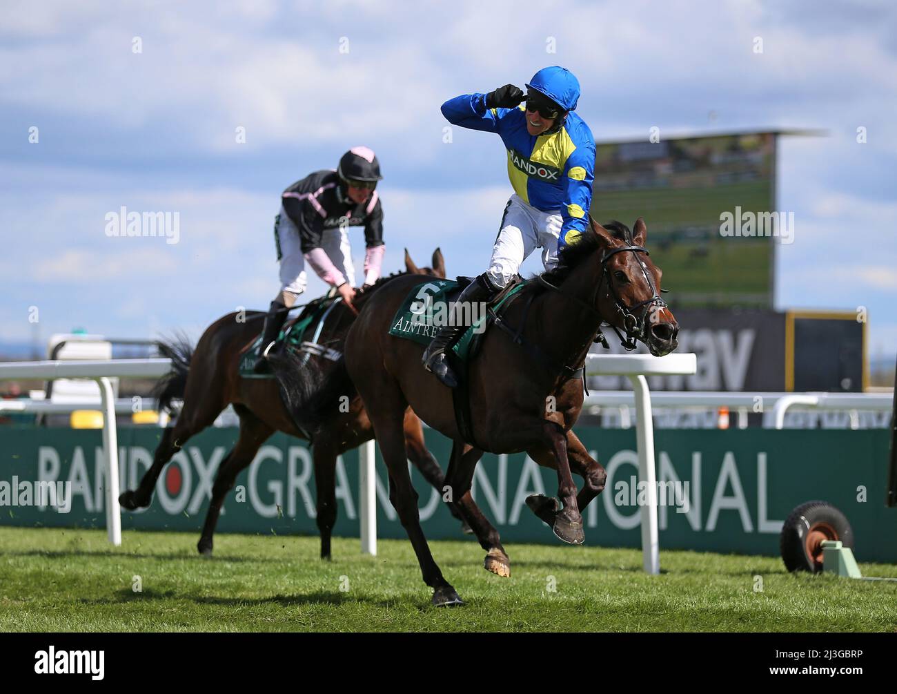 Langer dan horse hi-res stock photography and images - Alamy