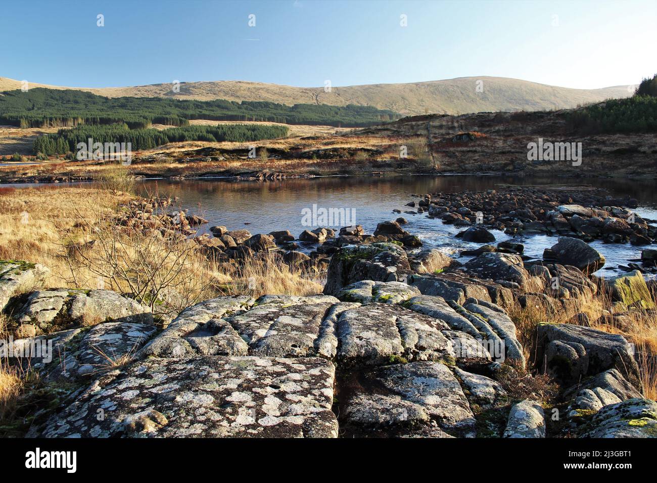 Galloway forest park hi-res stock photography and images - Alamy