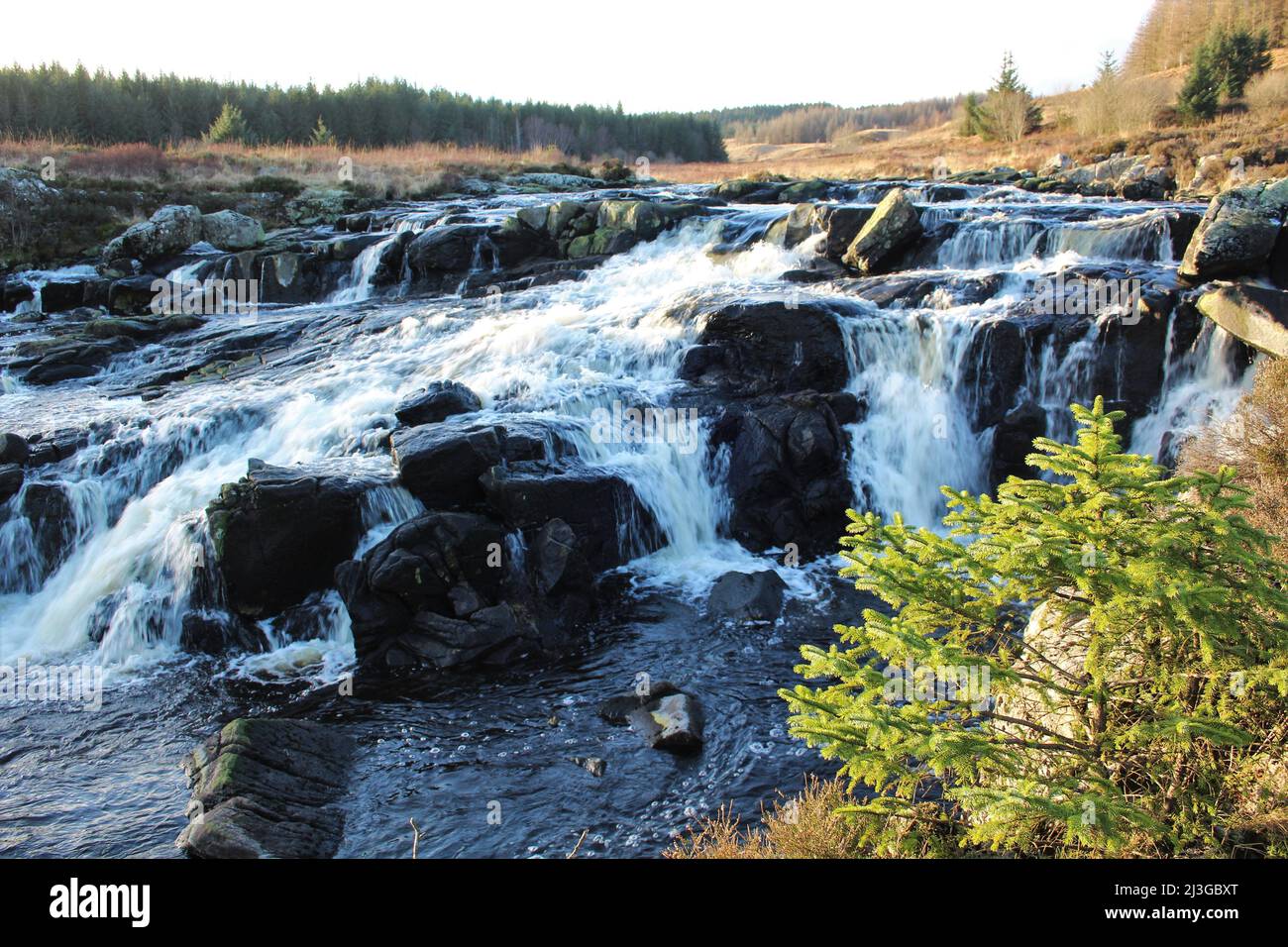 Conifers creek day hi-res stock photography and images - Alamy