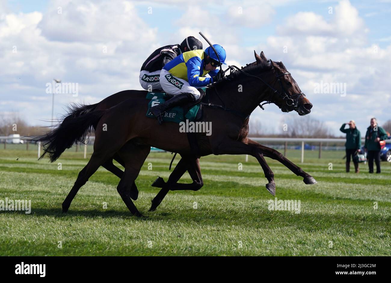 Langer dan horse hi-res stock photography and images - Alamy