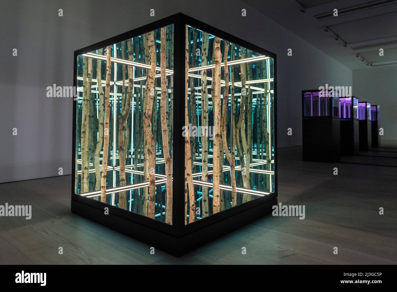 London, UK. 8 April 2022. 'Birch Tree' by Anthony James. Preview of ...