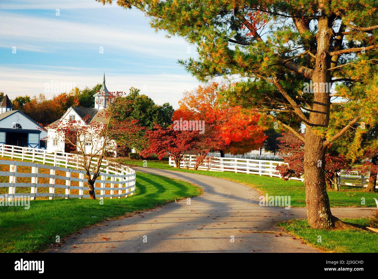 Manchester Farms near Lexington Kentucky Horse Country Stock Photo - Alamy