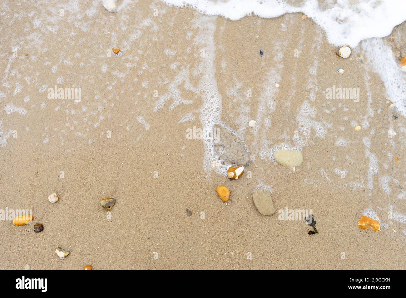 Sea shells on black stone hi-res stock photography and images - Alamy