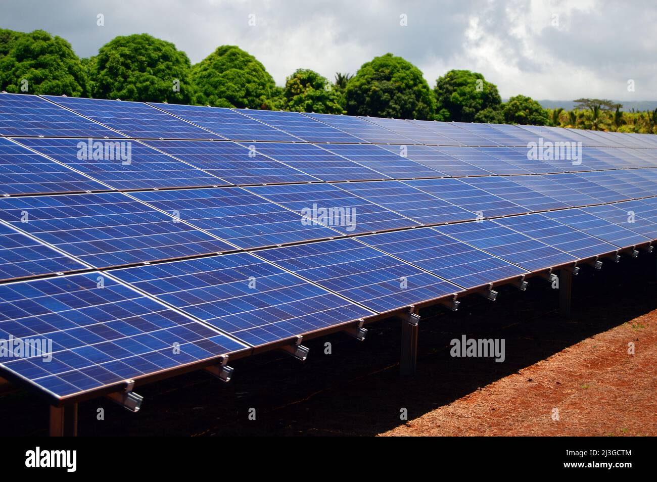 Solar Panels Power a Large Plantation Stock Photo - Alamy