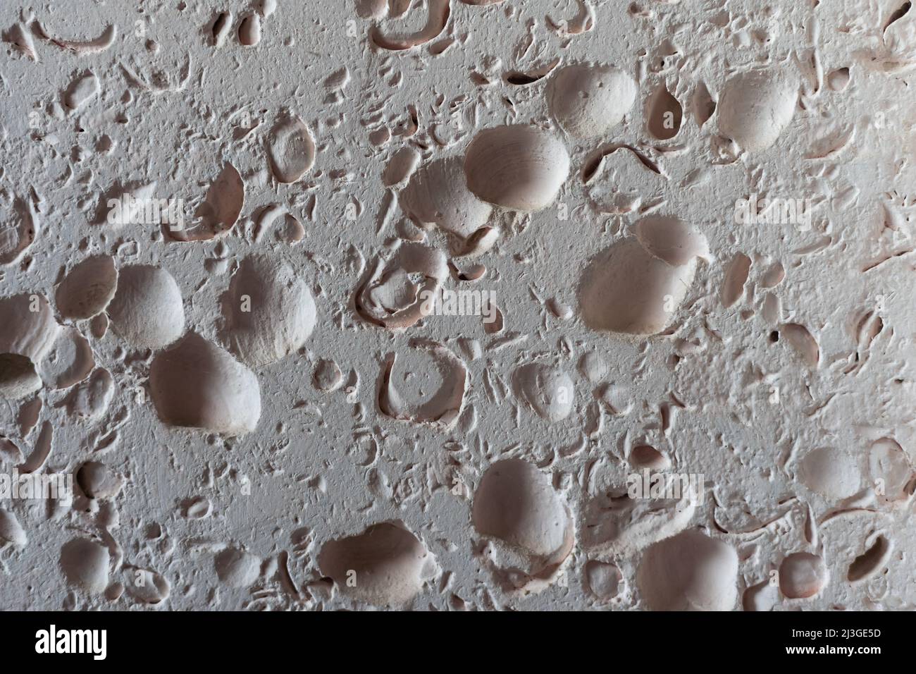 Textured wall lined with shell rock tiles Stock Photo - Alamy