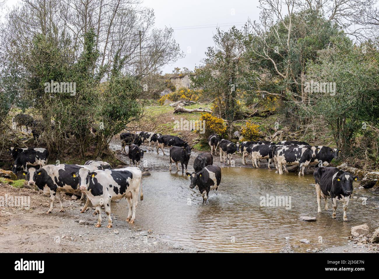 130 acres hi-res stock photography and images - Alamy