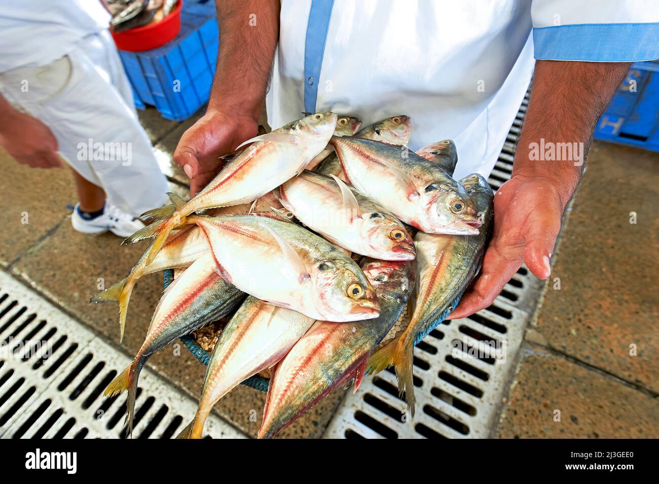 Fresh fish dubai hi-res stock photography and images - Alamy