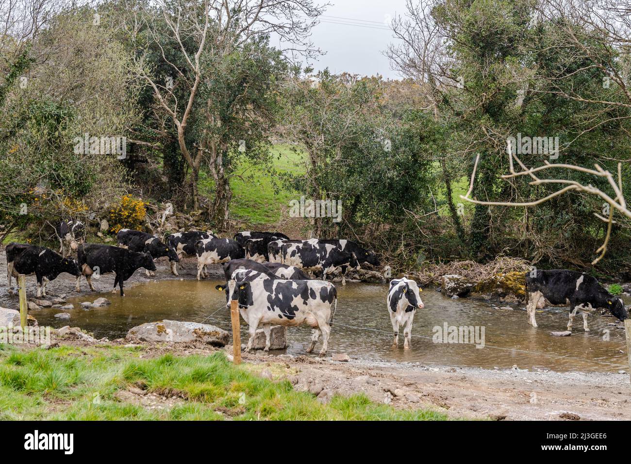 130 acres hi-res stock photography and images - Alamy