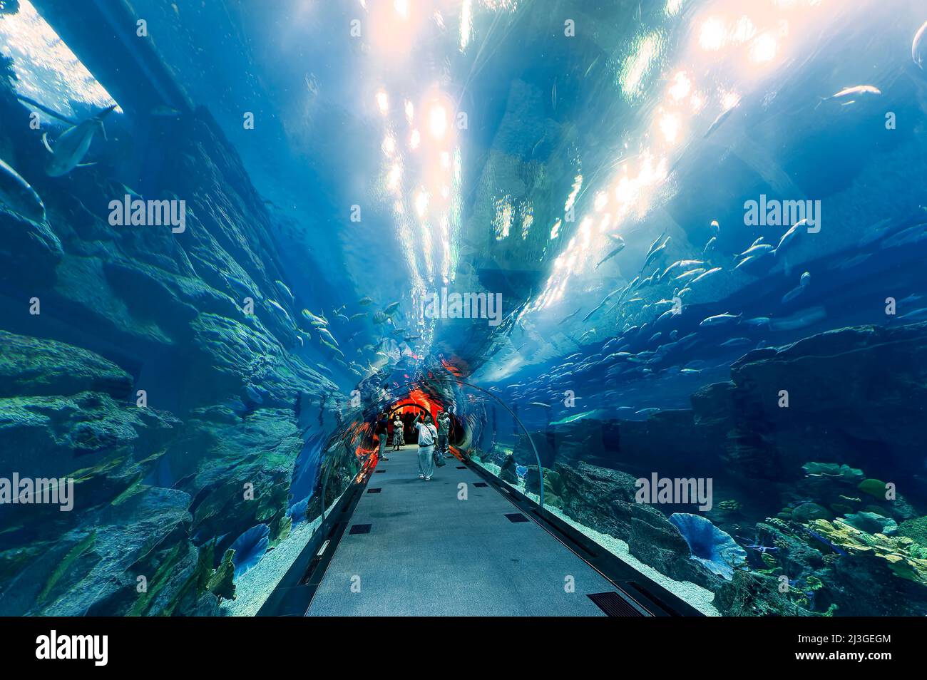 Dubai. UAE. Aquarium and underwater zoo Stock Photo - Alamy