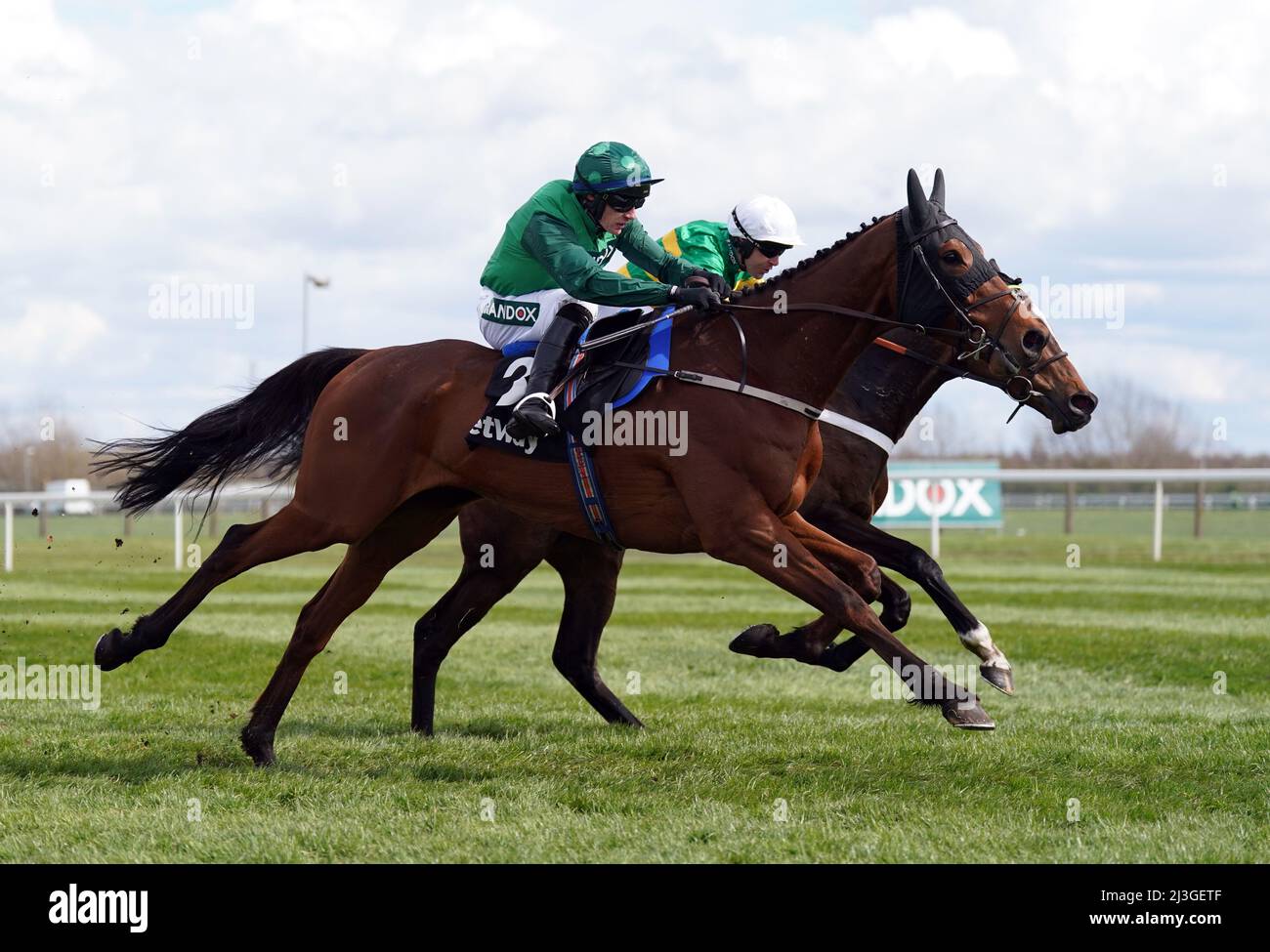El fabiolo horse hi-res stock photography and images - Alamy
