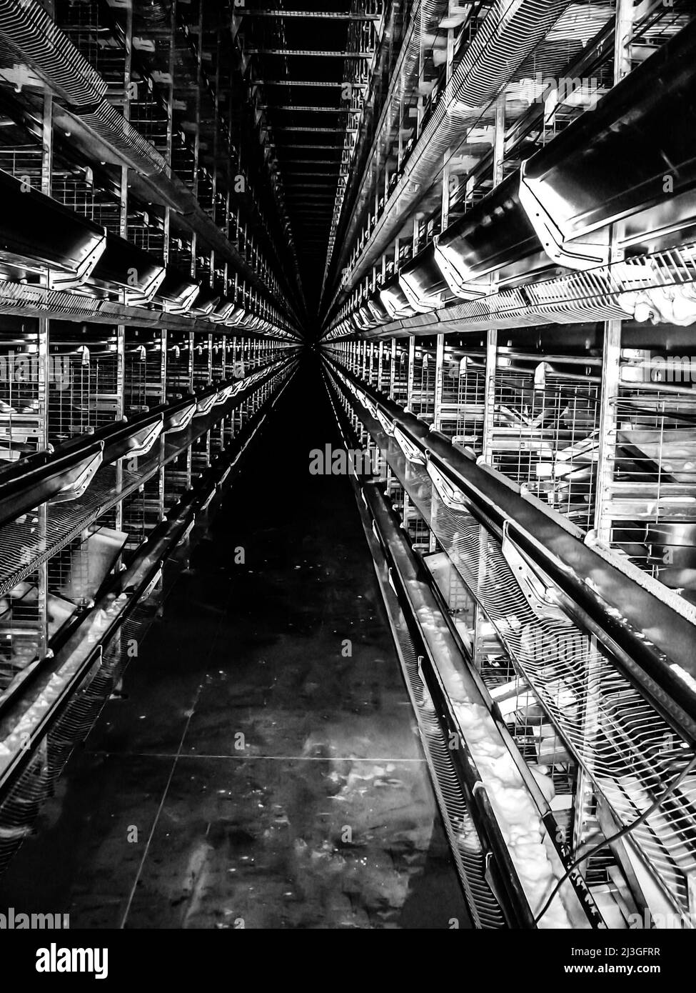 Factory farming cages Black and White Stock Photos & Images - Alamy