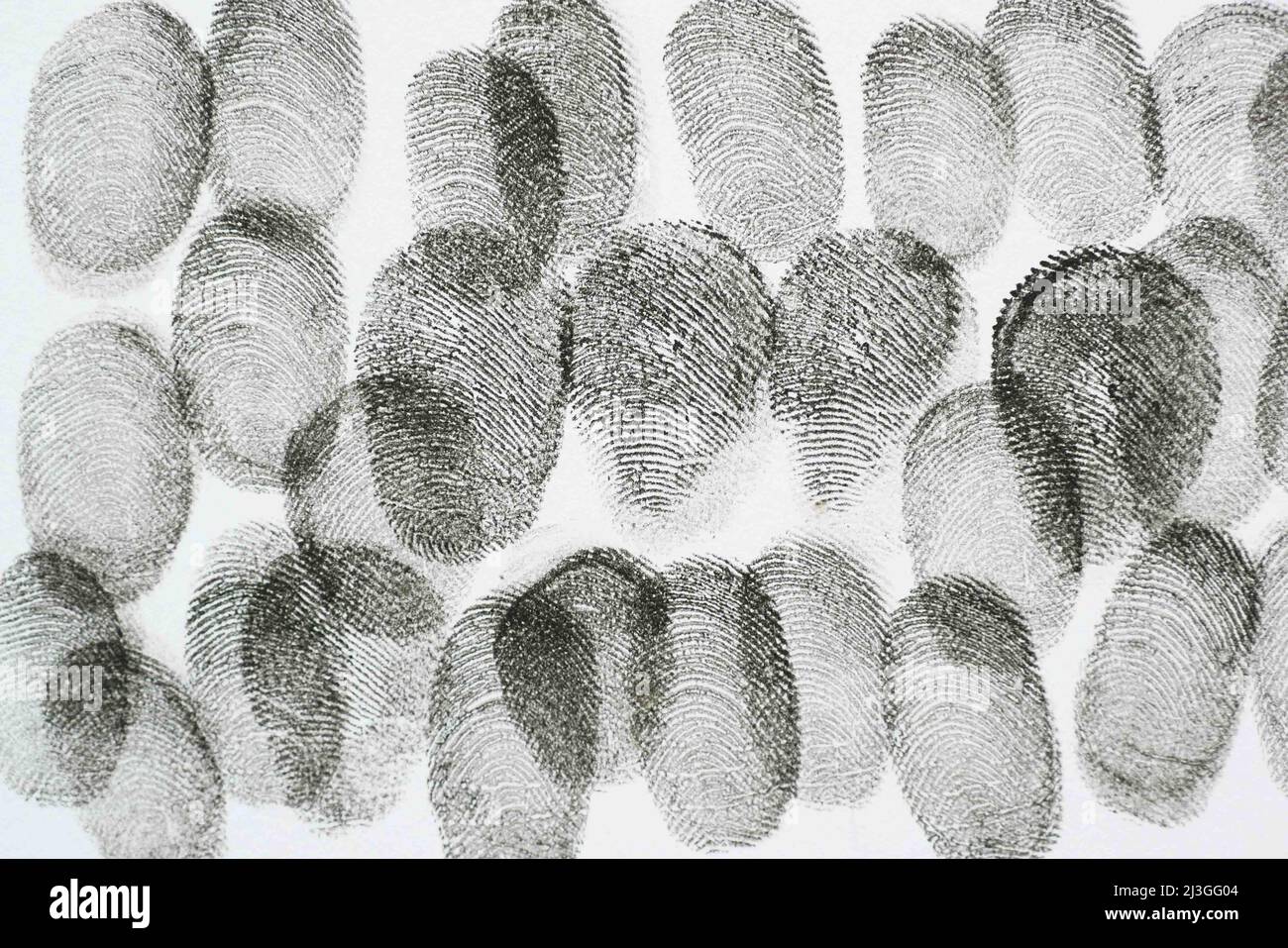 different black fingerprints on a paper close up Stock Photo - Alamy