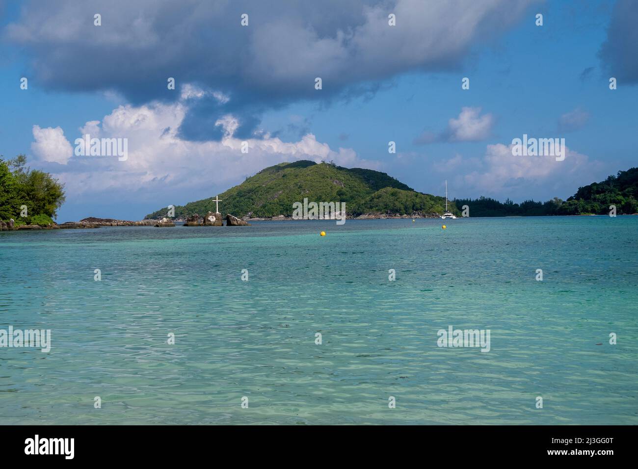 Whale shark seychelles hi-res stock photography and images - Alamy