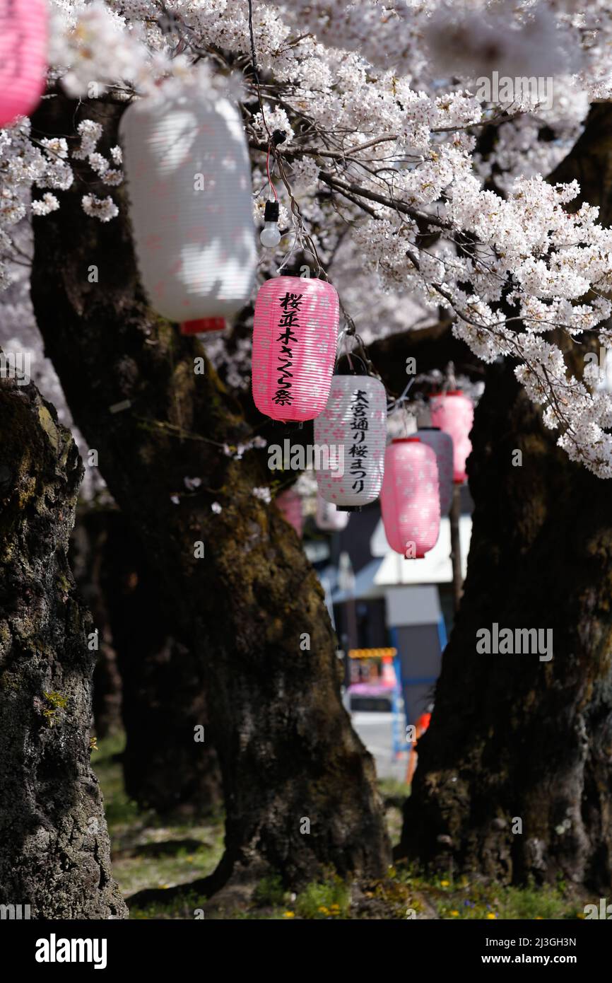 Japanese lamp andon hi-res stock photography and images - Alamy